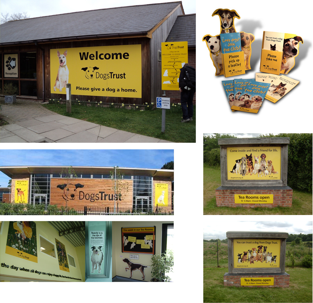 Dogs Trust - Rehoming - Malcolm Neill