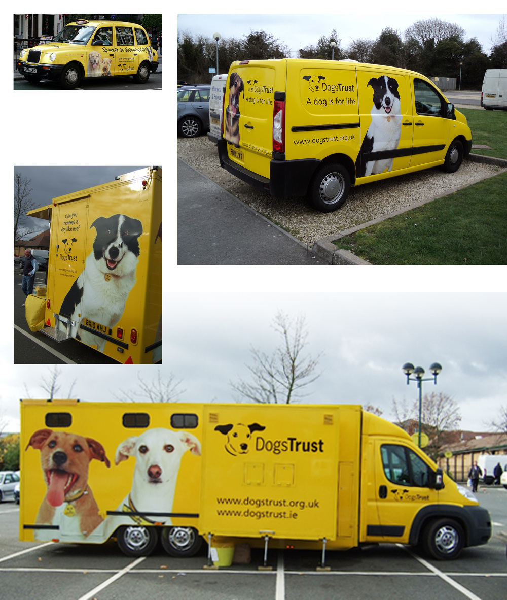 Dogs Trust - Rehoming - Malcolm Neill