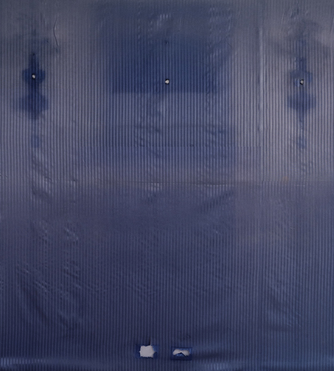 Color fugitivo - Florencia Alvarez Guardo