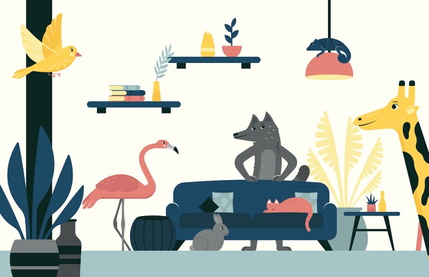 Jake Williams Illustration