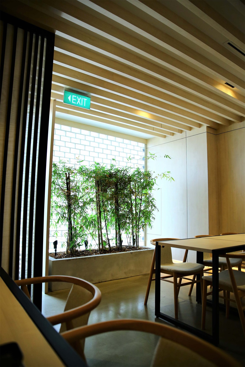 GINZA SHINTO - AMIRUL NAZREE