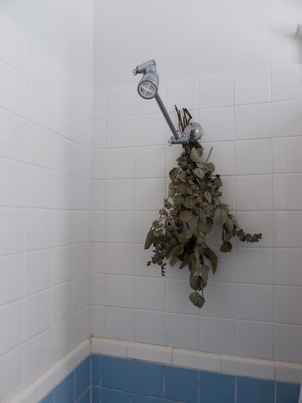 These Are Their Stories - Jesse Butcher