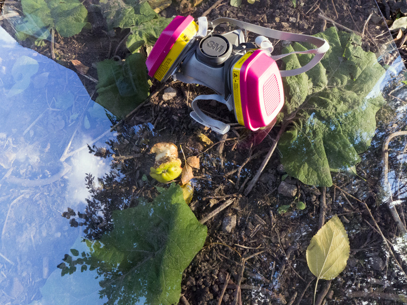 These Are Their Stories - Jesse Butcher