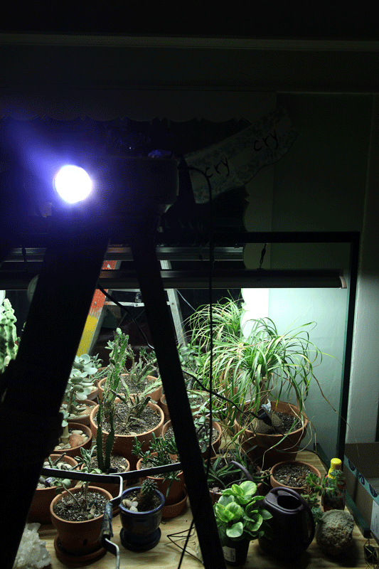 These Are Their Stories - Jesse Butcher