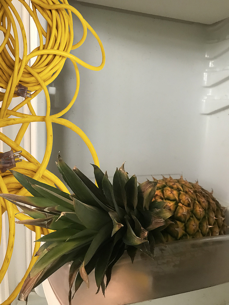 These Are Their Stories - Jesse Butcher