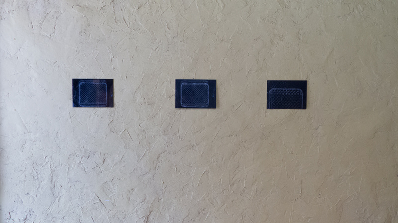 The Crumbling Prince - Jesse Butcher