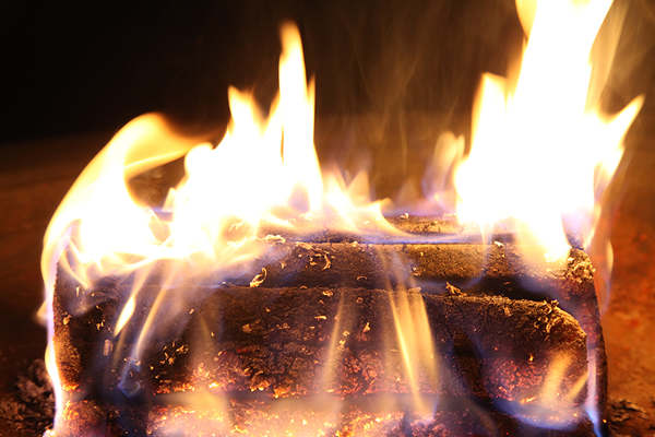 Starter - Jesse Butcher