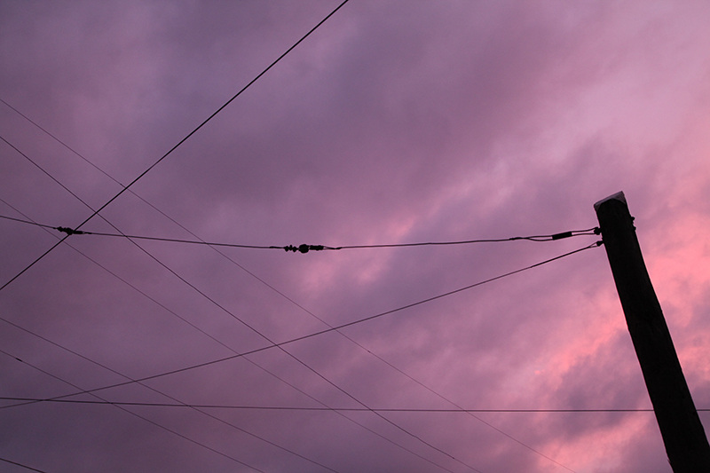 Fluke Book - Jesse Butcher