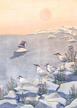 Jaime Anderson Illustration