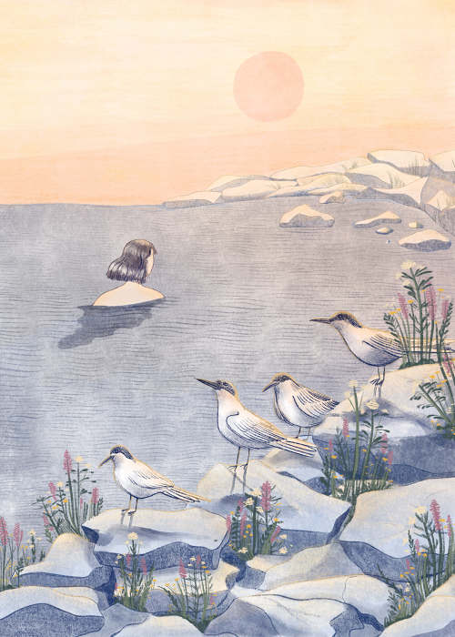 Jaime Anderson Illustration