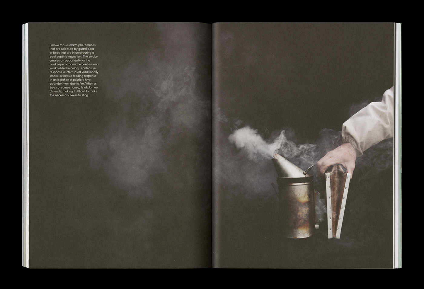 Human Being Journal Issue 4 - Eric Gilkey