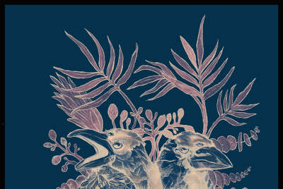 Animal Studies (inverted) - Tyler Oliver Illustration