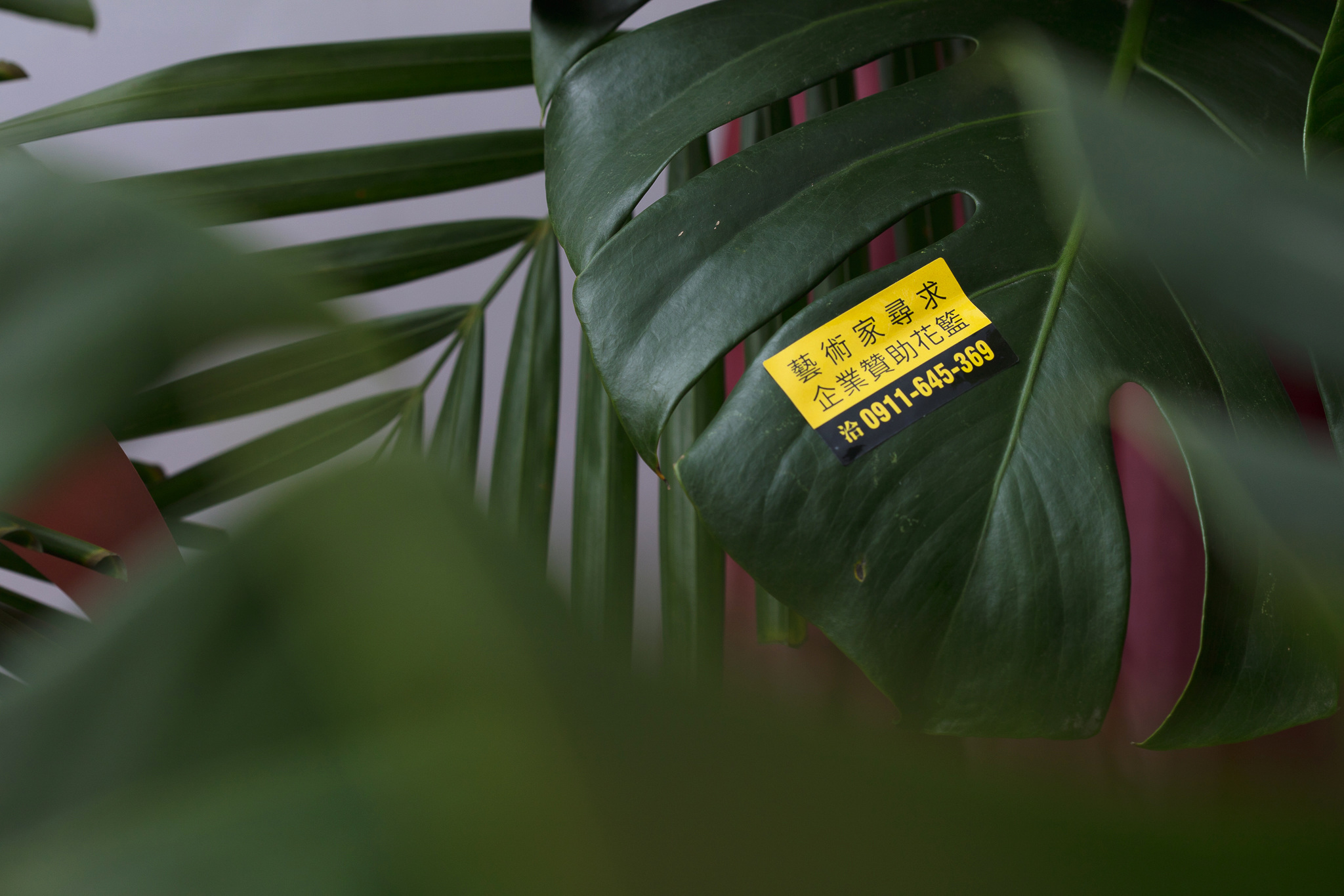 Sponsoring Flower - 李婷歡 Ting-Huan Li