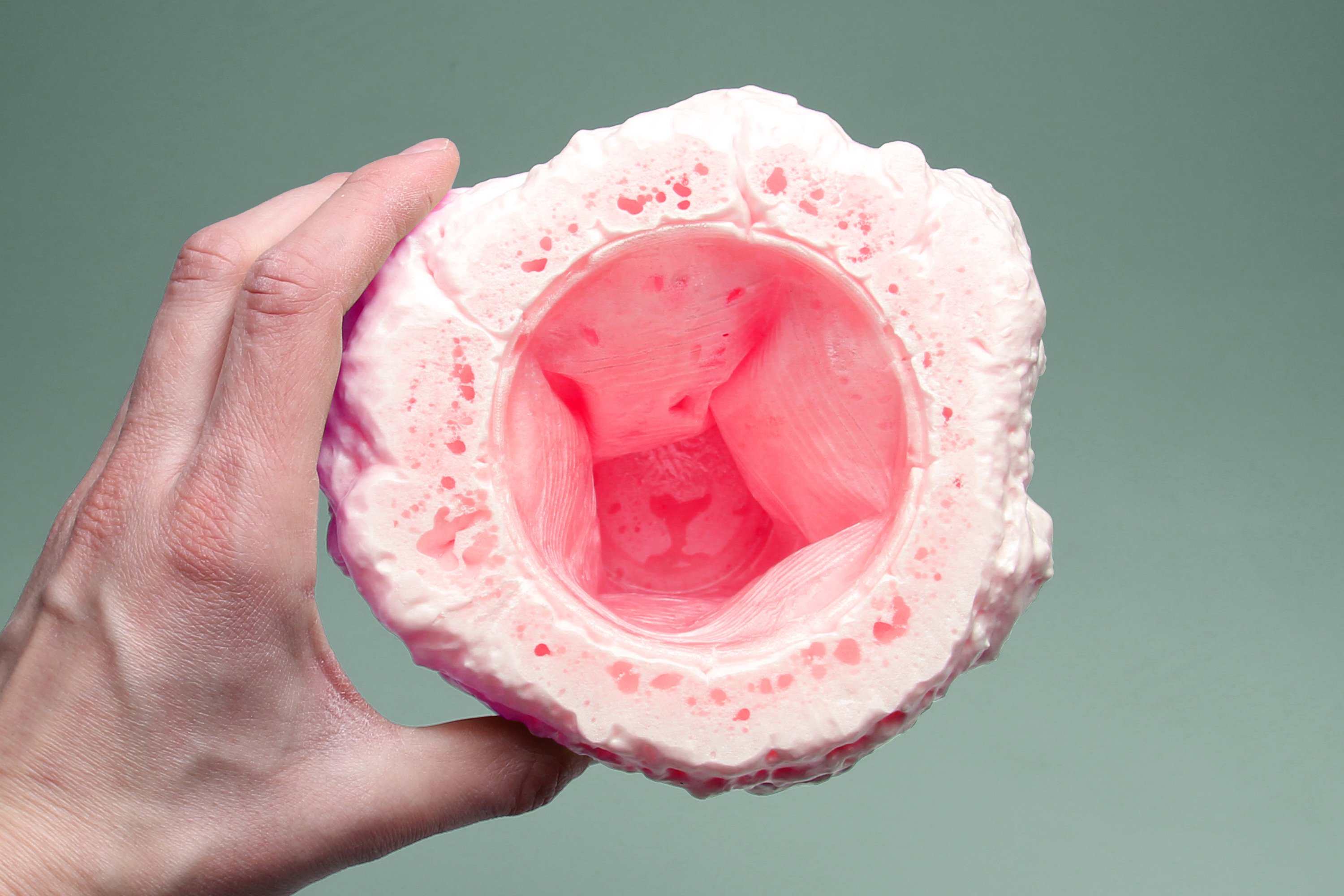 GROWING OBJECTS - Omayra Maymó