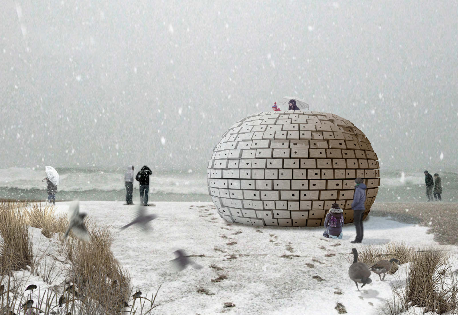 White Matter Architecture