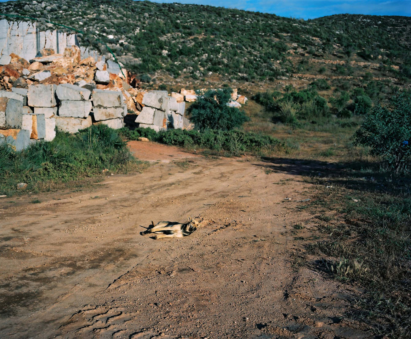 Los Rifenos ...en marge du paysage - virginie terrasse