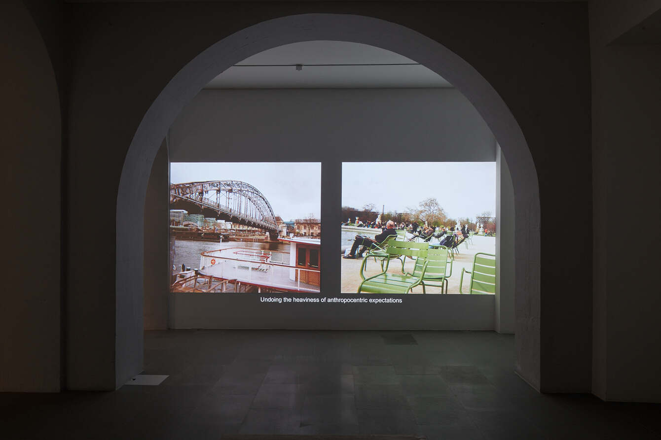 Luka Cvetkovic - Plattform