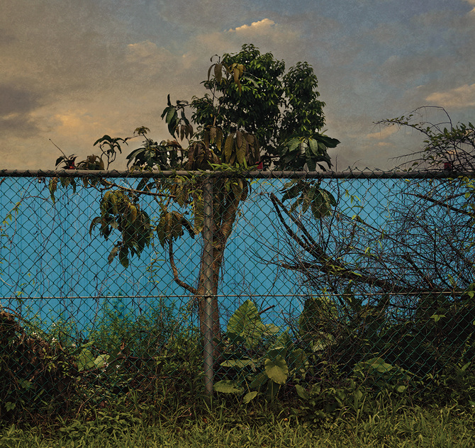 Transient Landscape - Guillaume Hebert