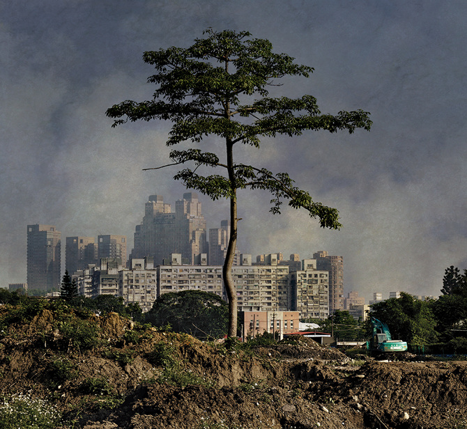 Transient Landscape - Guillaume Hebert