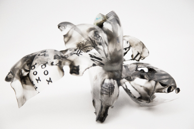 Distorted Typography - emiliaragon