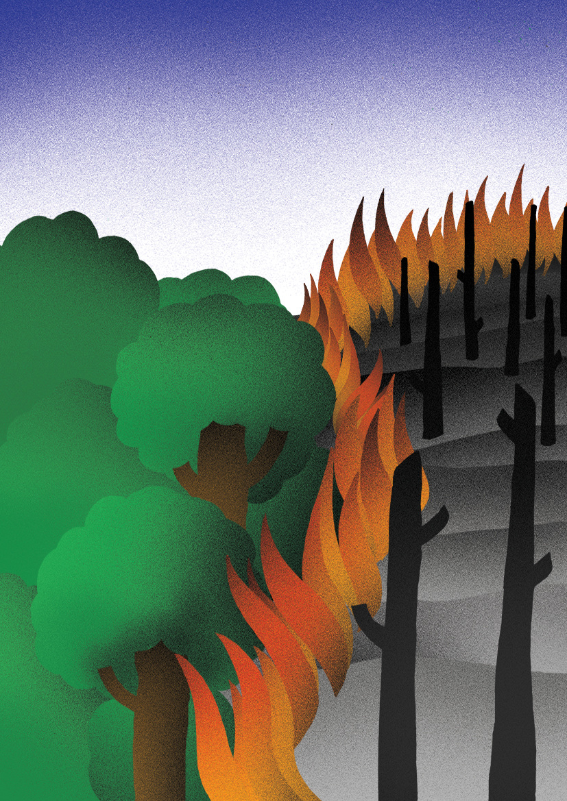 VPRO Magazine Cover - Riemer van der Wijk