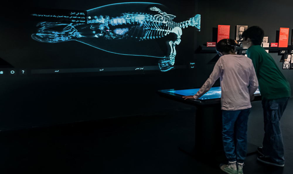 Exploring Life Exhibition - INTER-LAB