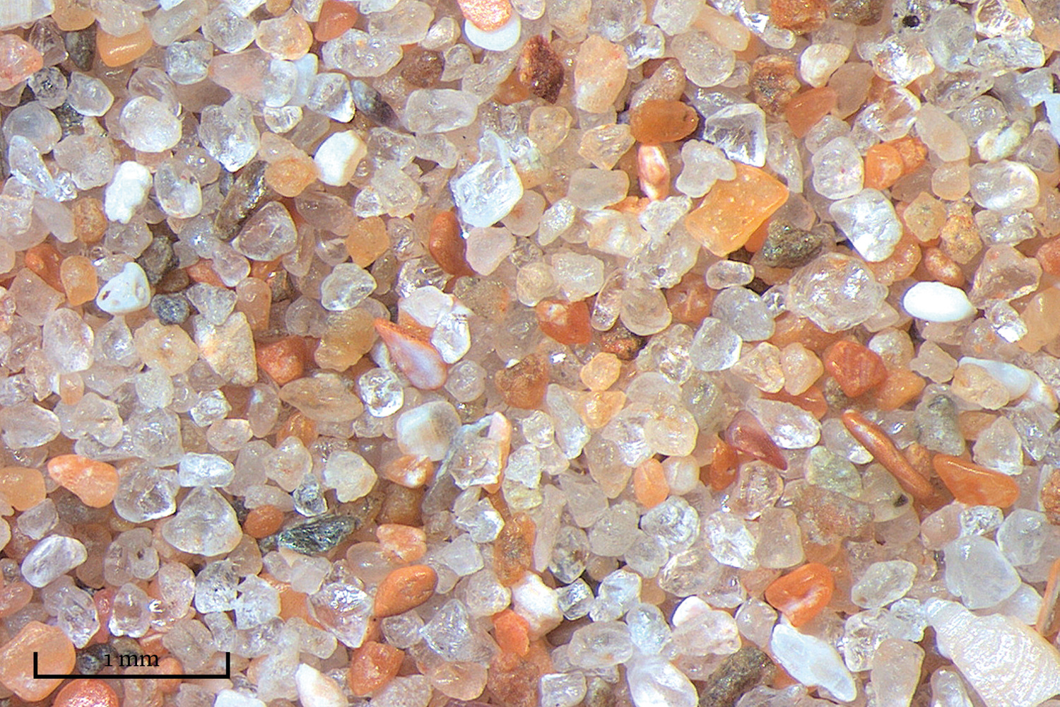 Sand Cycle - Marine Girard