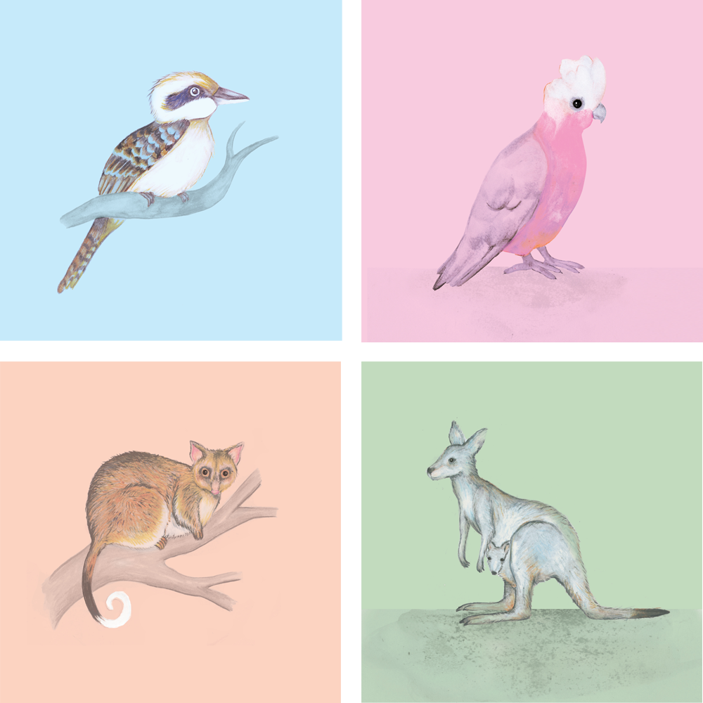 Native Animals of Australia - Hilary Faye Design
