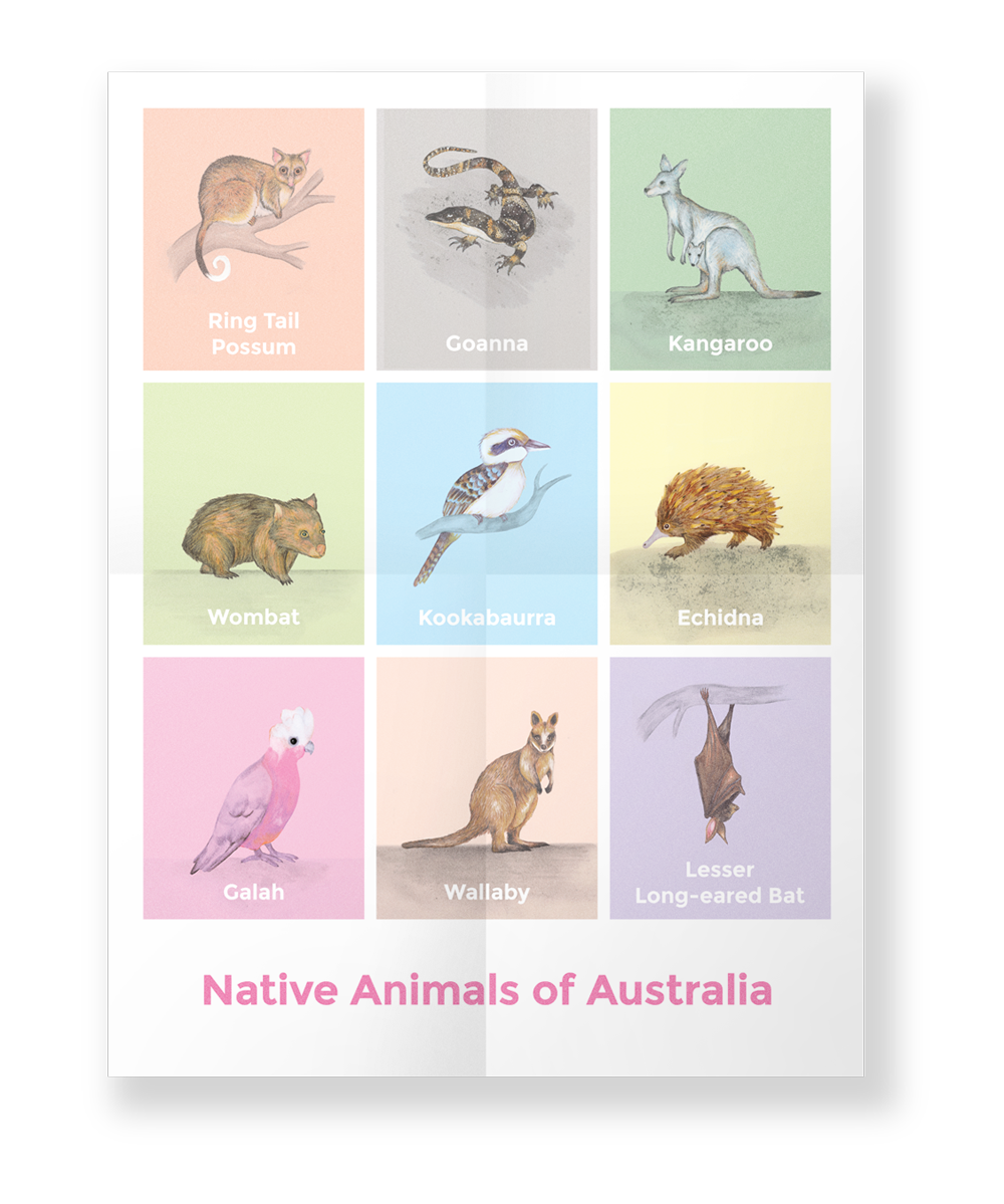 Native Animals of Australia - Hilary Faye Design