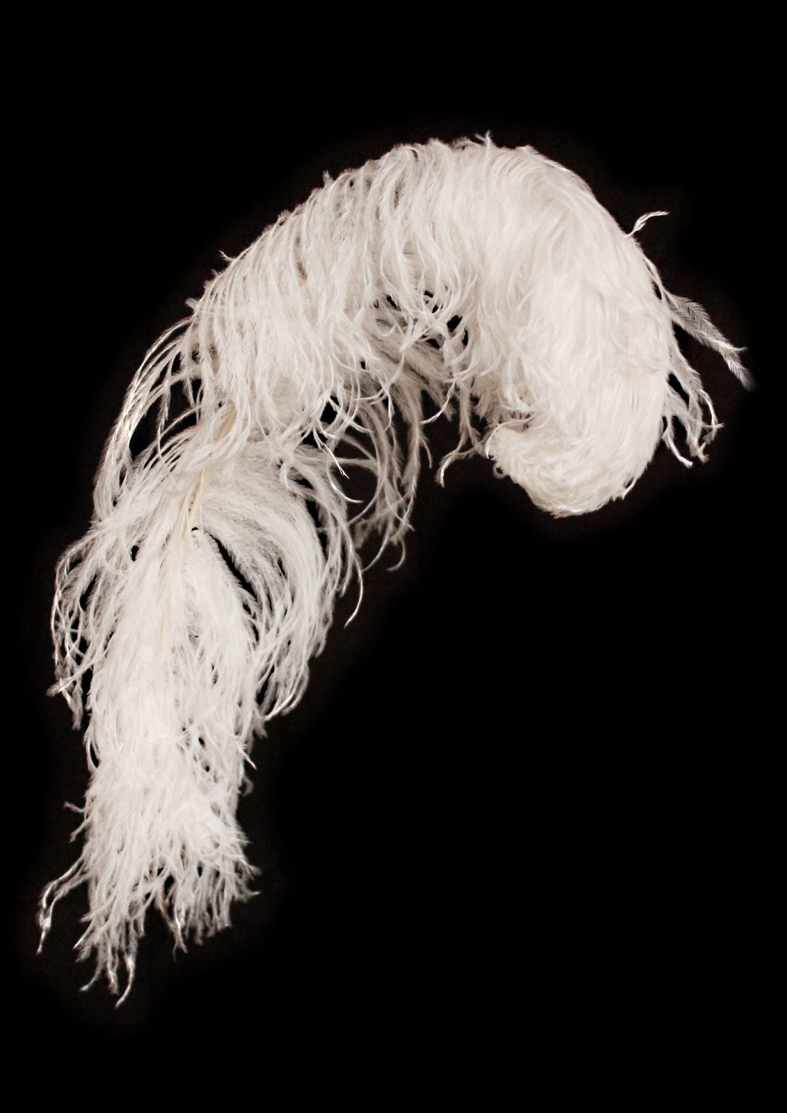 Feathered Fabrics - Pascale Theron Studio
