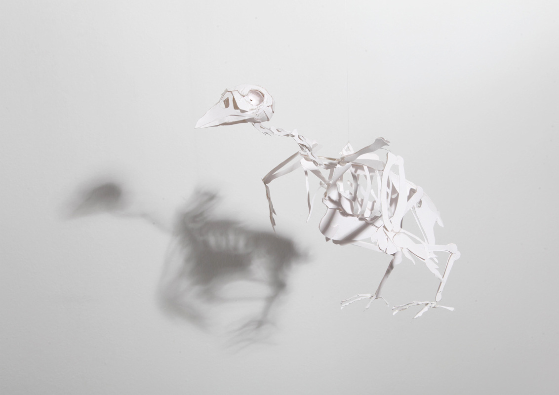 3D Paper - Pascale Theron Studio