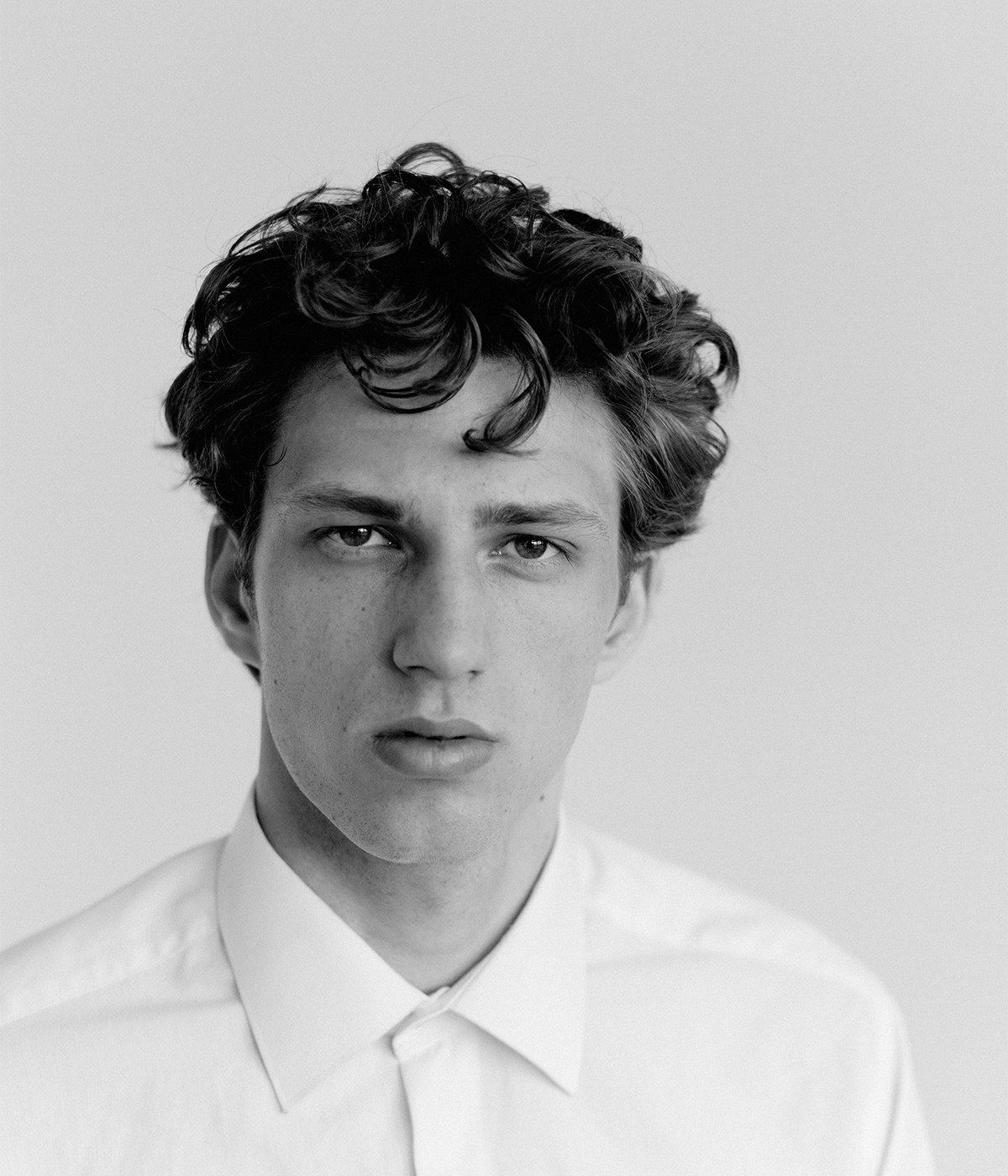 Anton - DMITRY MAXIMOV