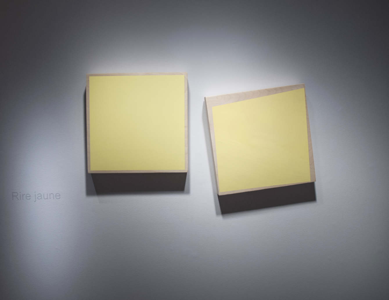 Rire Jaune - Renée Carrier_ Artiste