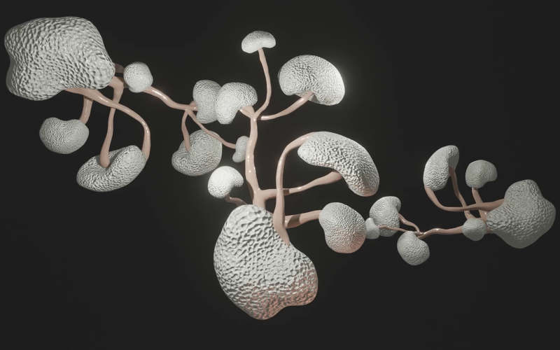 Vegetable kingdom, vegetable anarchy - Ann Manankina