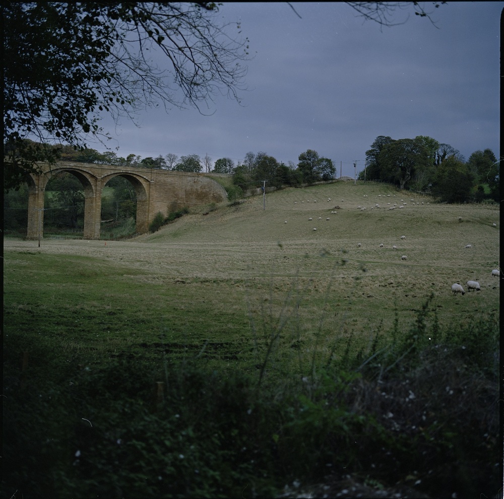 About - Flora DeBechi