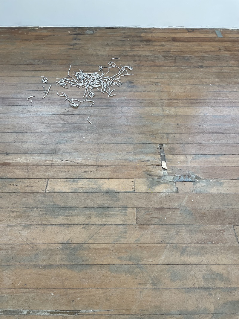 Wiggling Together Falling Apart - Yukari Kaihori