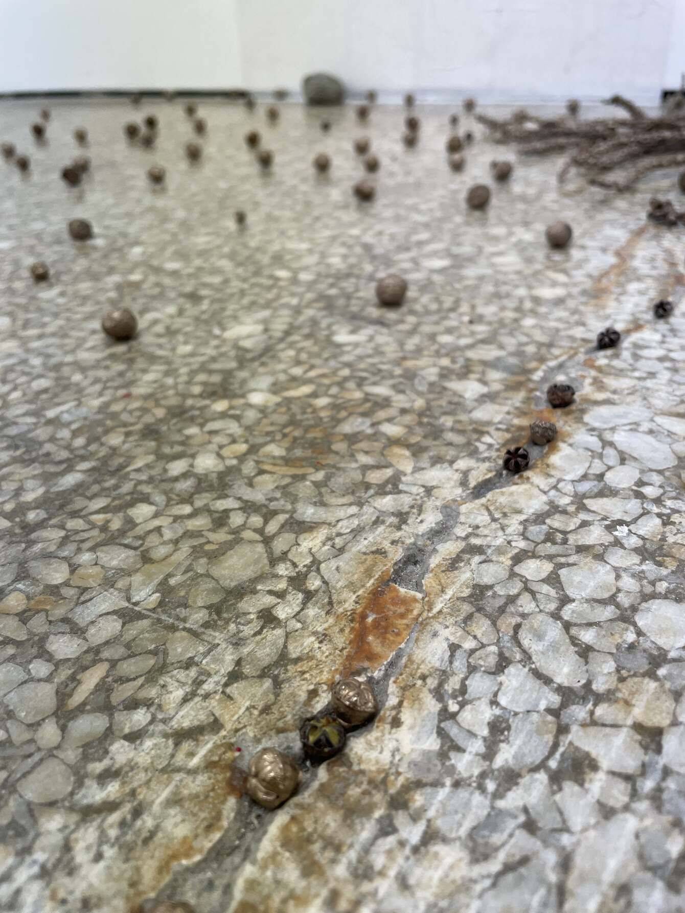 Wiggling Together Falling Apart - Yukari Kaihori