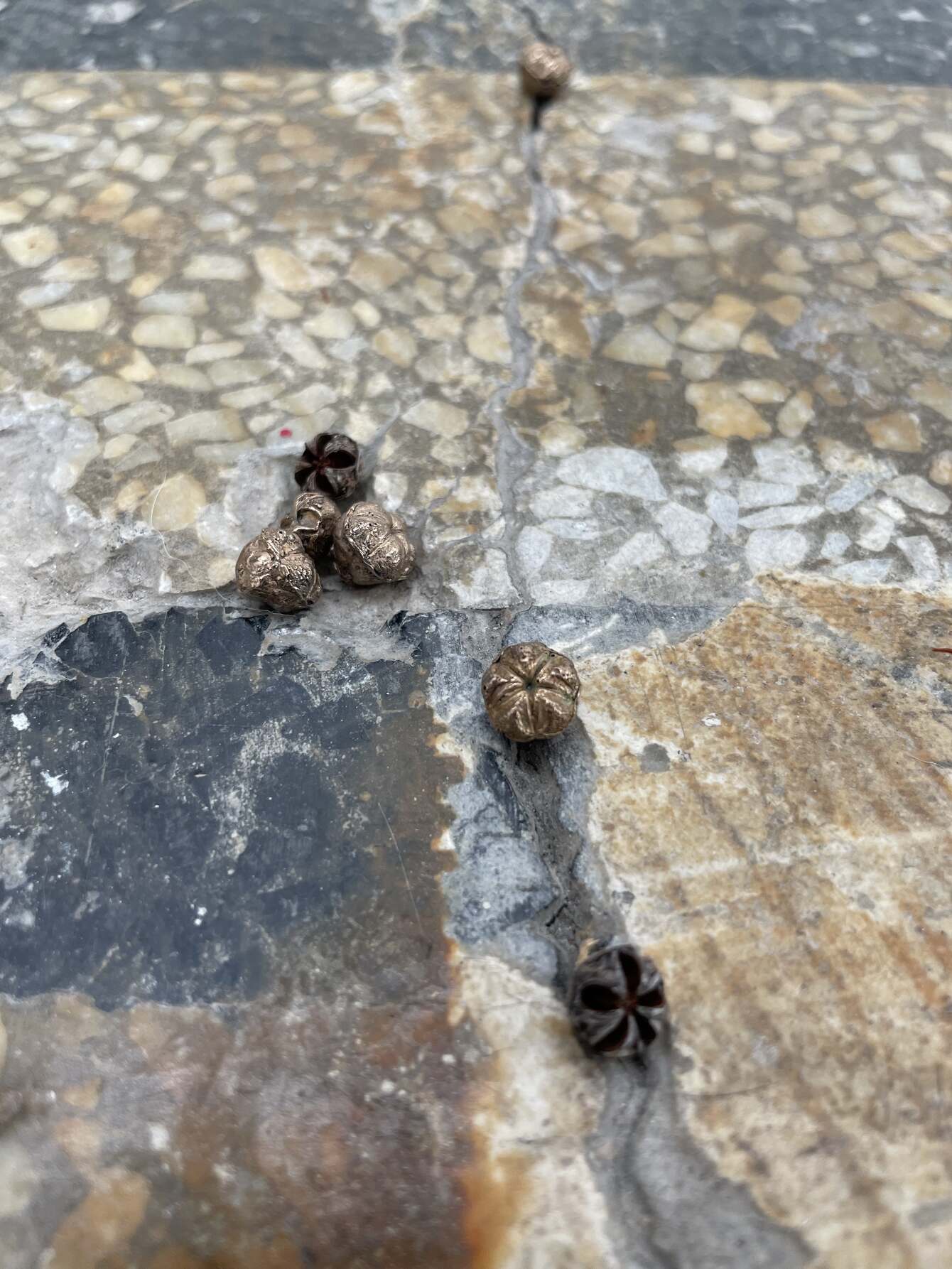 Wiggling Together Falling Apart - Yukari Kaihori