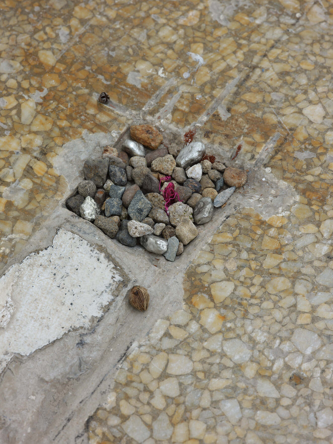 Wiggling Together Falling Apart - Yukari Kaihori