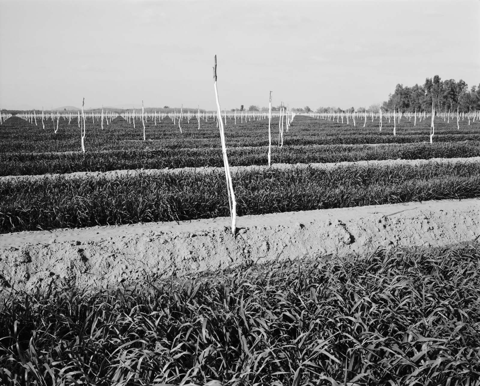 Central Valley: Canals, Subsidence, and Farming - California Water