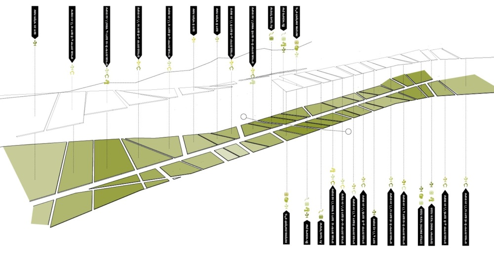 Final Project | Israel - Palestine Border - Architect Hagar Admi