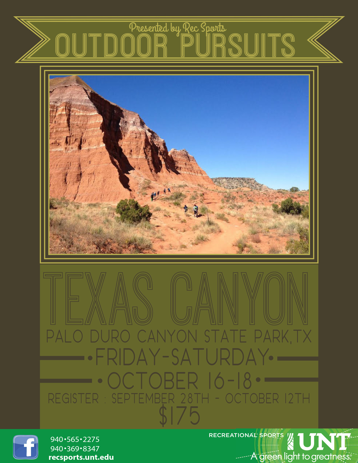 OPC flyers - Artsy Designs