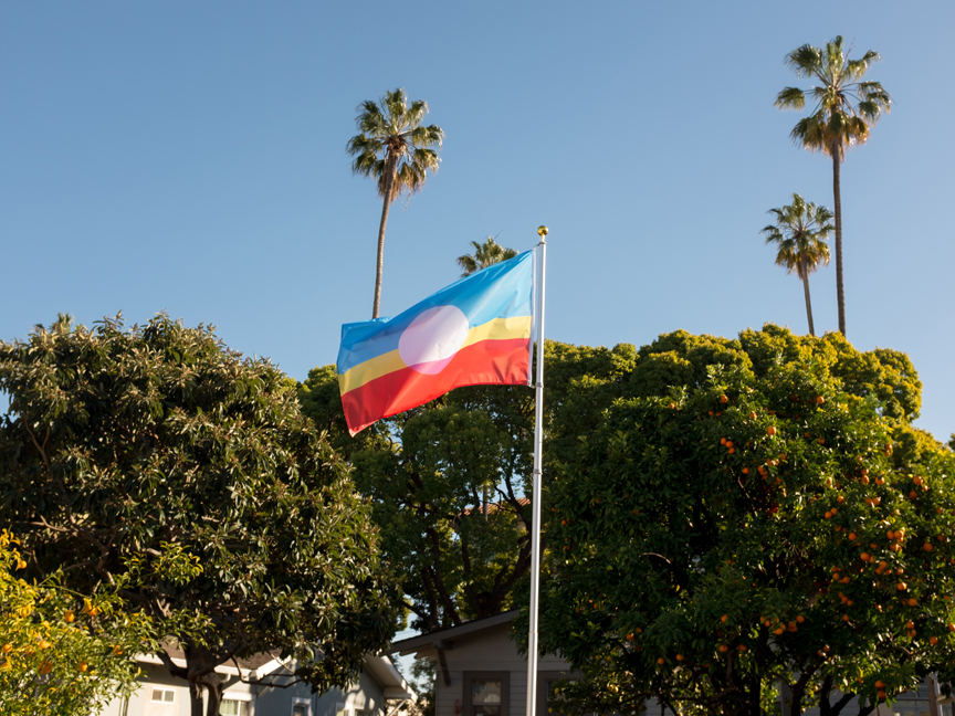 Flag Generator: Flag Festival - Stripe SF