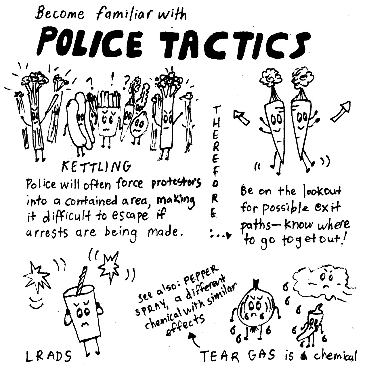 Guide for Youth Protestors (2017) - Jessalyn Aaland