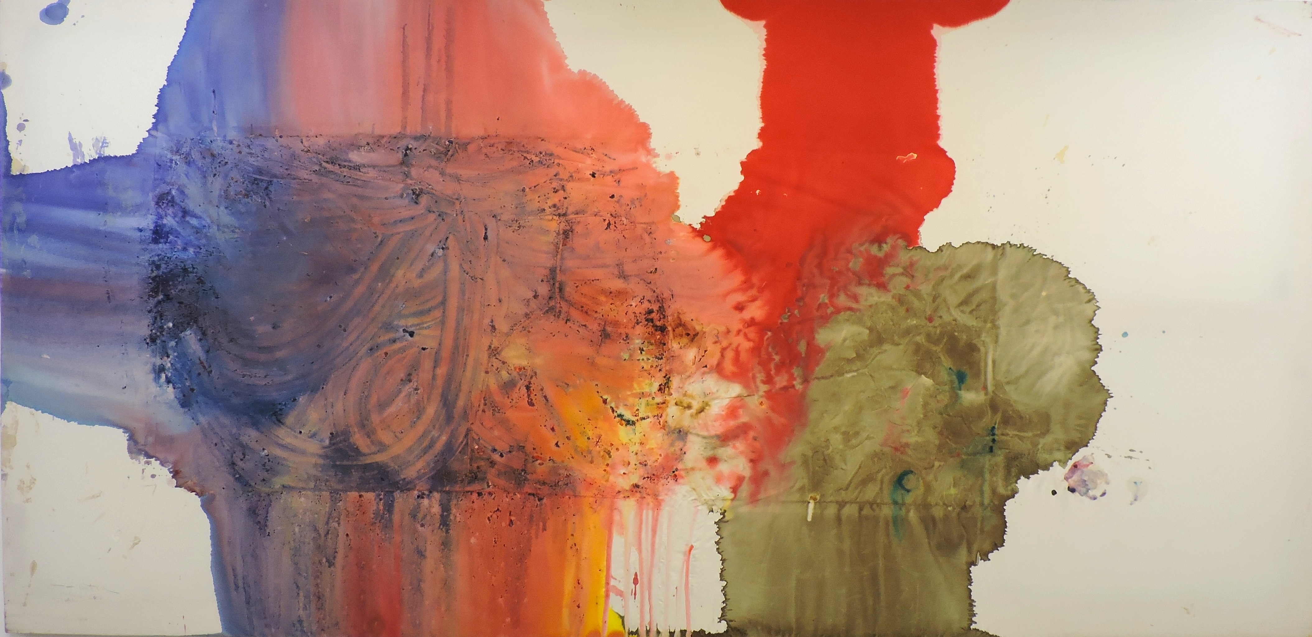 Hermann Nitsch - Studio d'arte Cannaviello