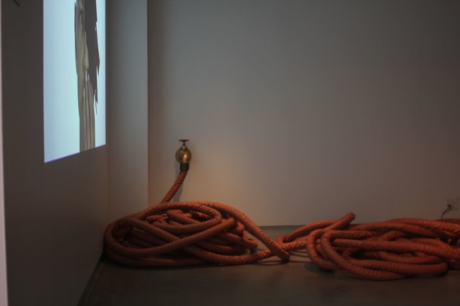 Exhibitions - Jessica Bell Brown