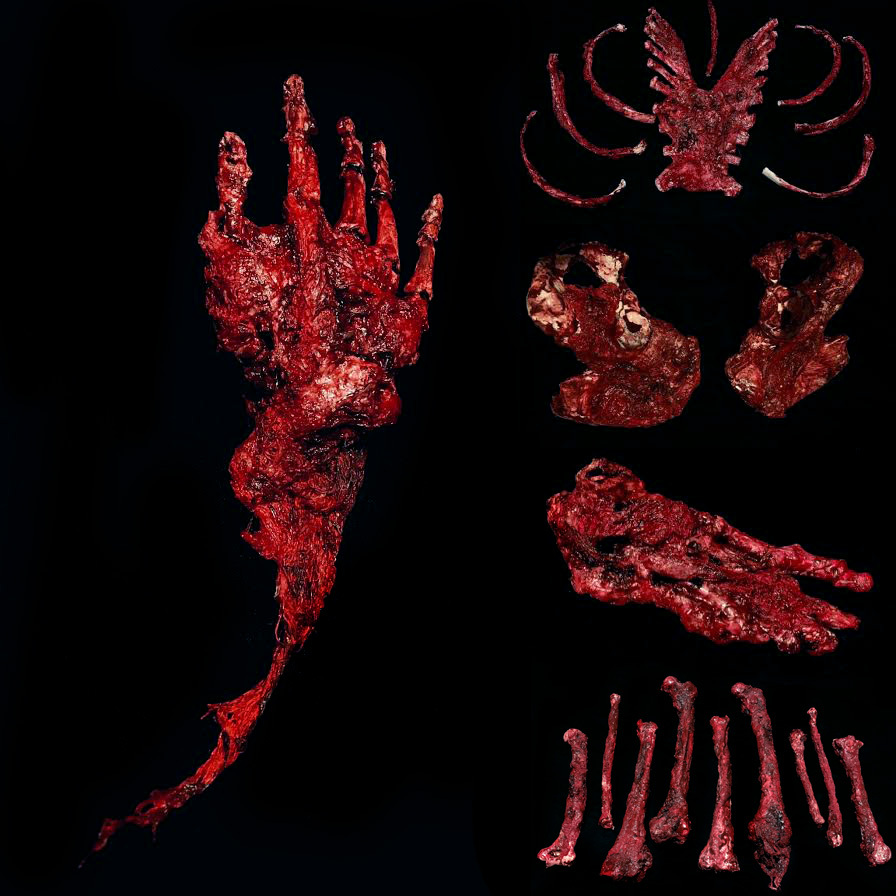 HORROR PROPS - dreamsfordeadcatsproductions