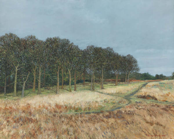 2019-024 - Simon Neville art