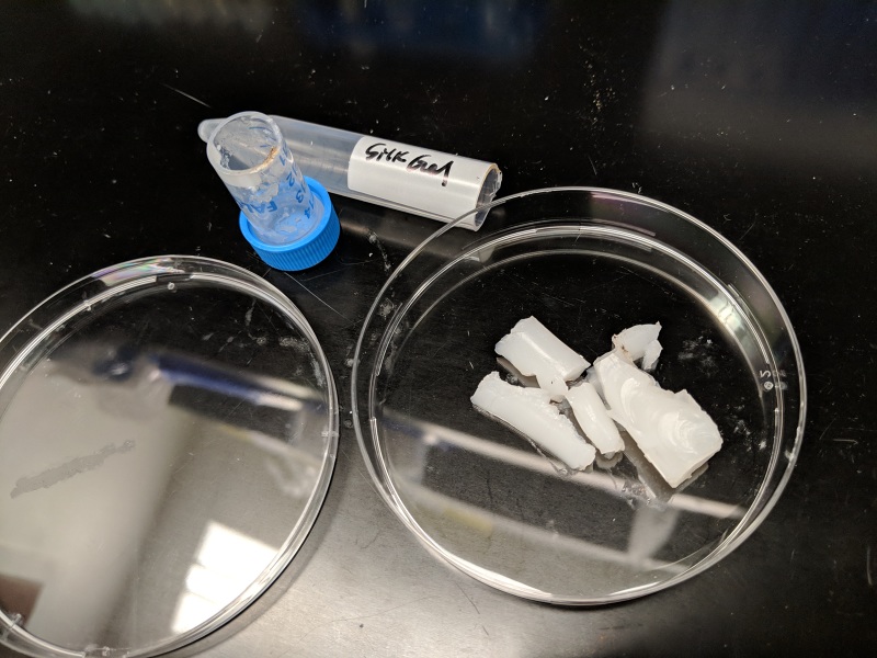 3D Bioprinting - New Narratives