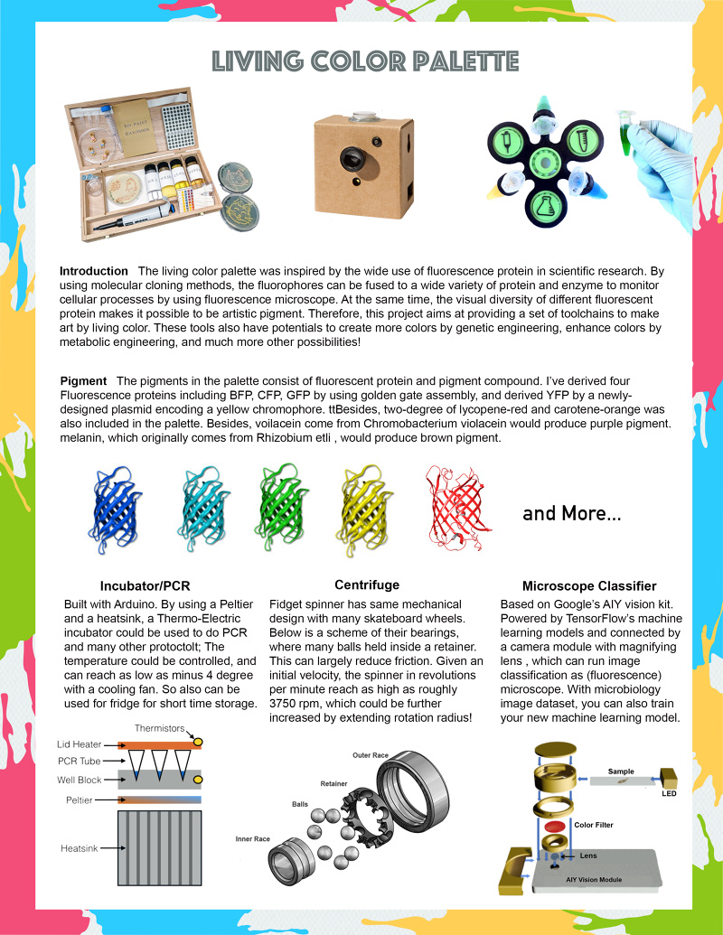 Living Color Palette - New Narratives
